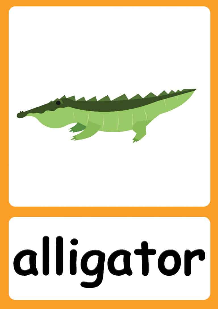 Savanna Animal Flashcards + FREE Jungle animal poster!