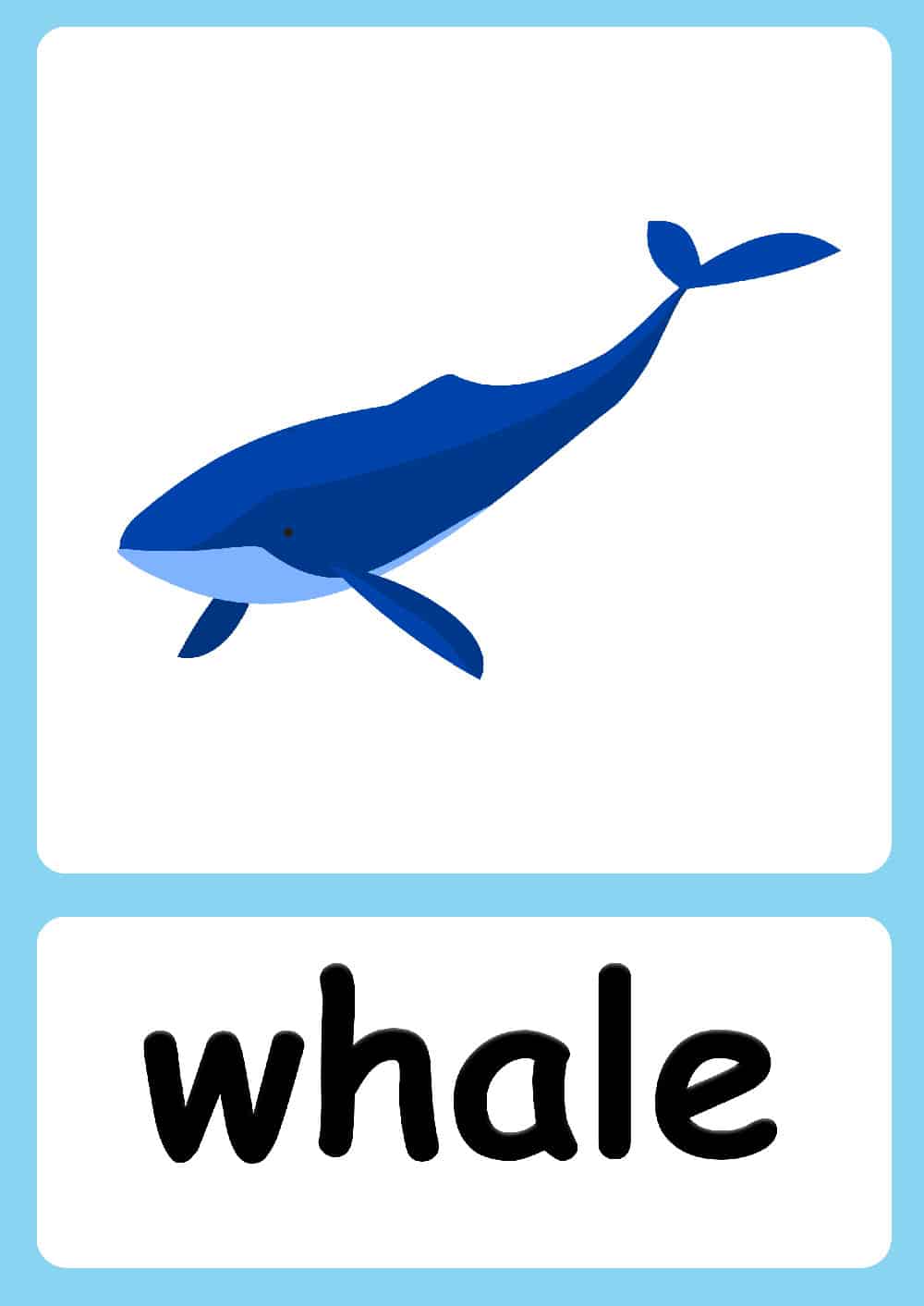 Sea Animal flashcards + FREE Jungle background