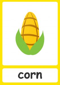 Vegetable flashcards for kids!