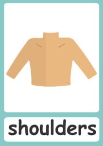 Body parts Flashcards