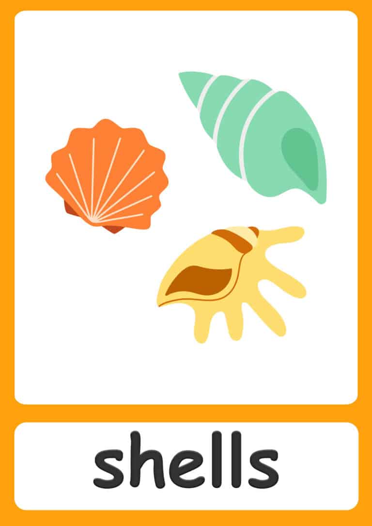 Teach beach vocabulary with FREE beach flashcards!