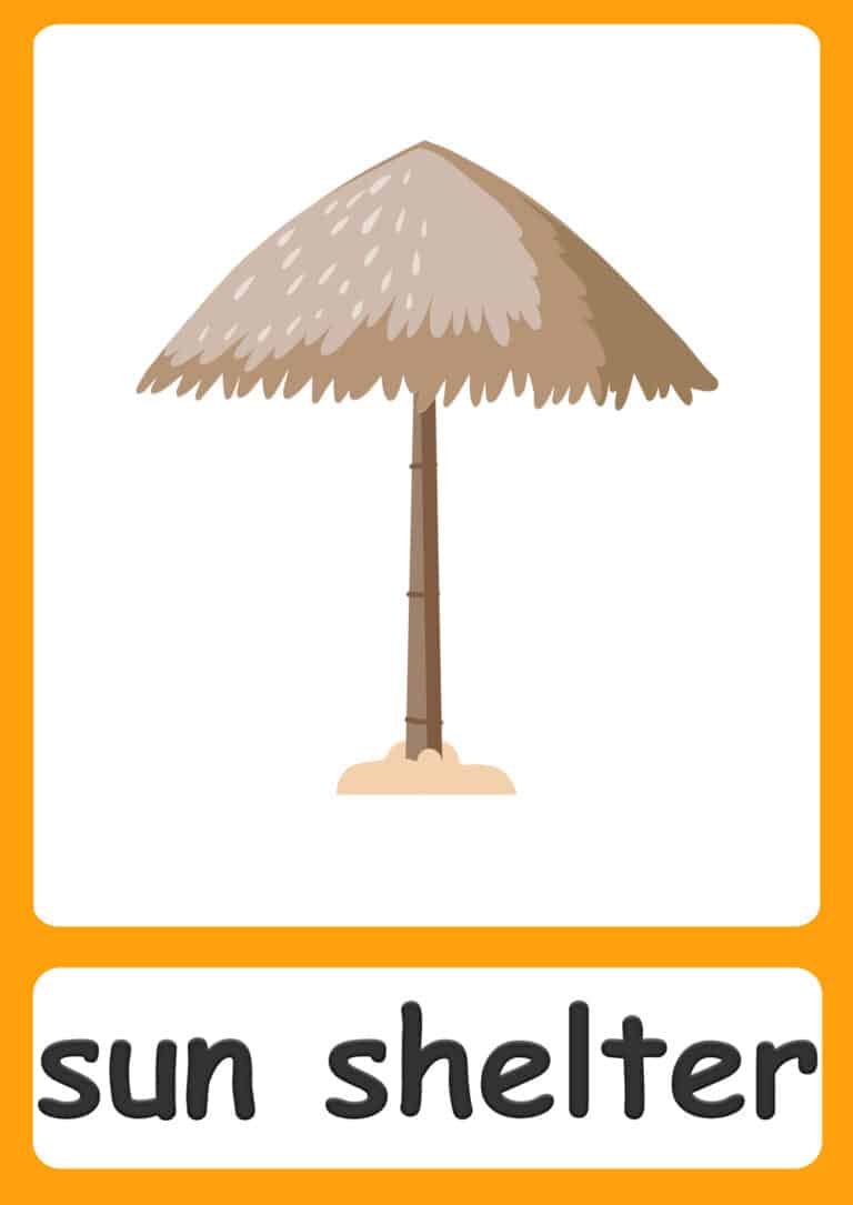 Teach beach vocabulary with FREE beach flashcards!