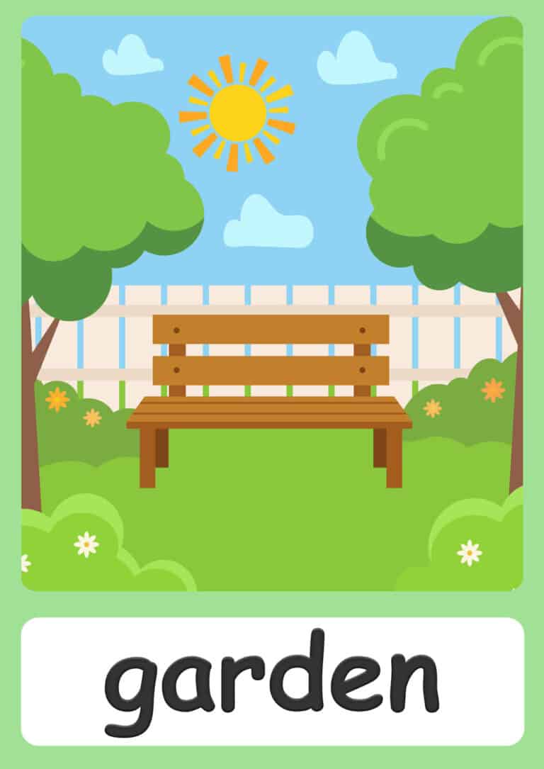 Plant Part Flashcards