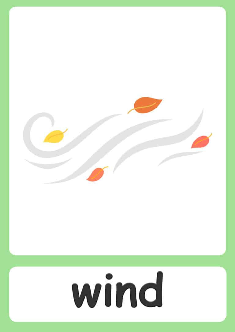 Plant Part Flashcards