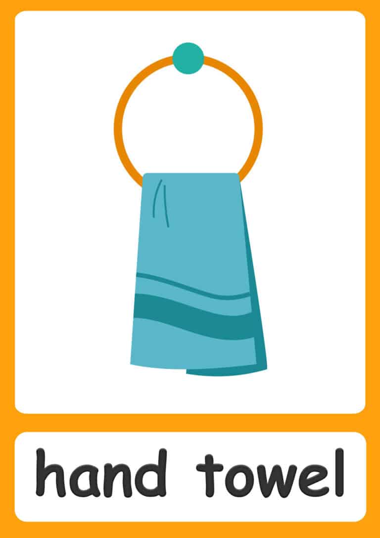 FREE bathroom vocabulary Flashcards!