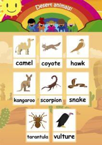 Desert Animal flashcards + FREE Desert Animal Poster!