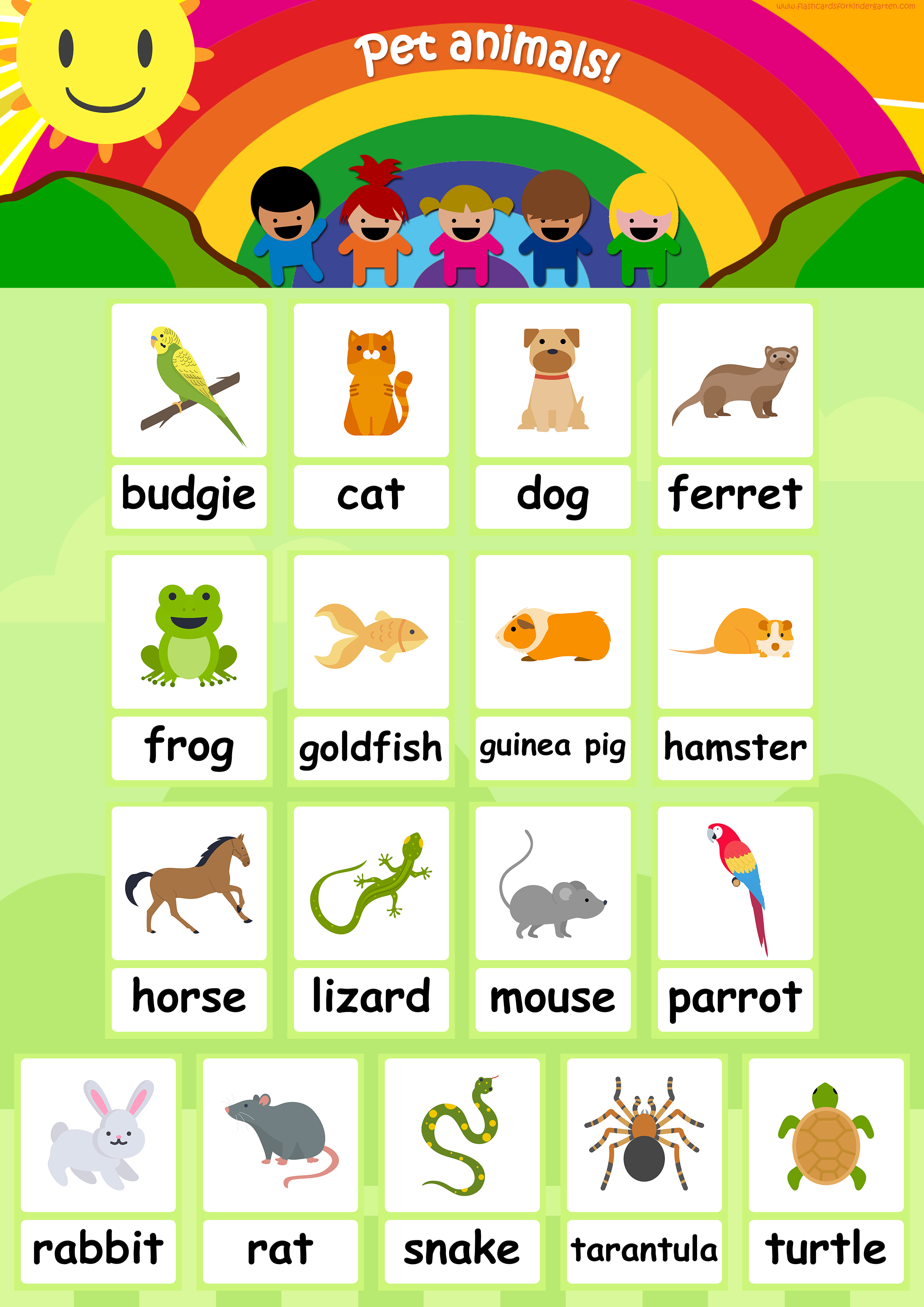 FREE Pet Flashcards & Pet Animals Poster!