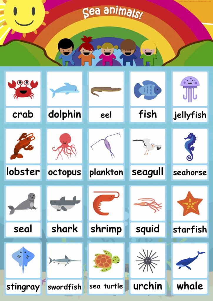 Sea Animal flashcards + FREE Sea Animals Poster!