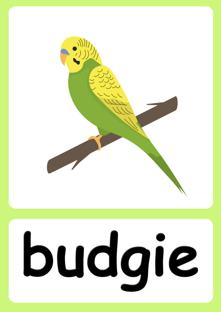 FREE Pet Flashcards & Pet Animals Poster!
