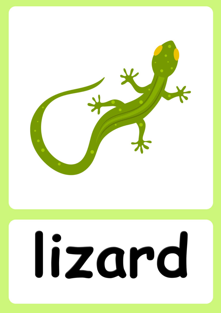 FREE Pet Flashcards & Pet Animals Poster!