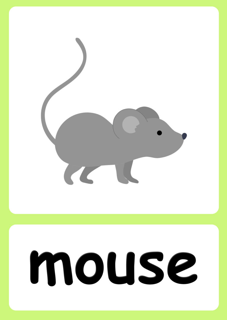 FREE Pet Flashcards & Pet Animals Poster!