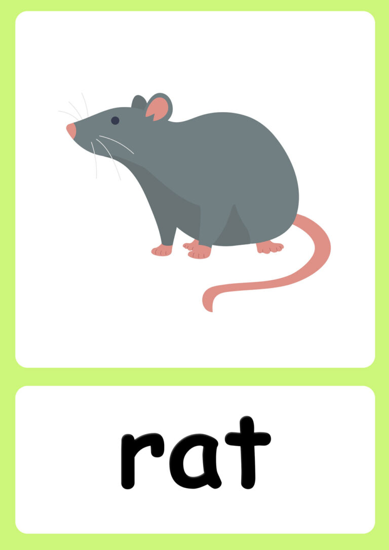 FREE Pet Flashcards & Pet Animals Poster!