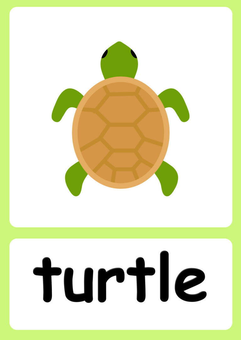 FREE Pet Flashcards & Pet Animals Poster!